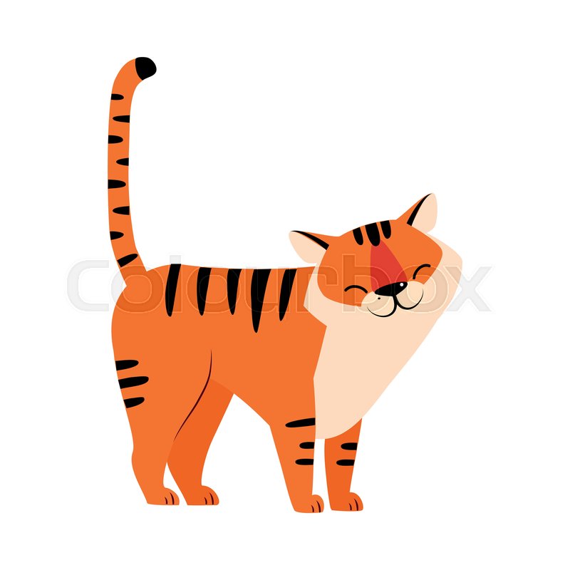 Tiger Tail Vector
