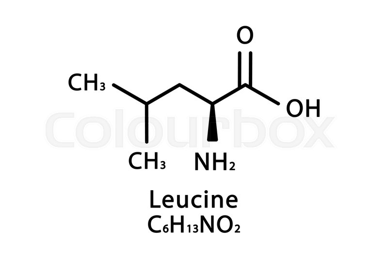 Structure Of Leucine