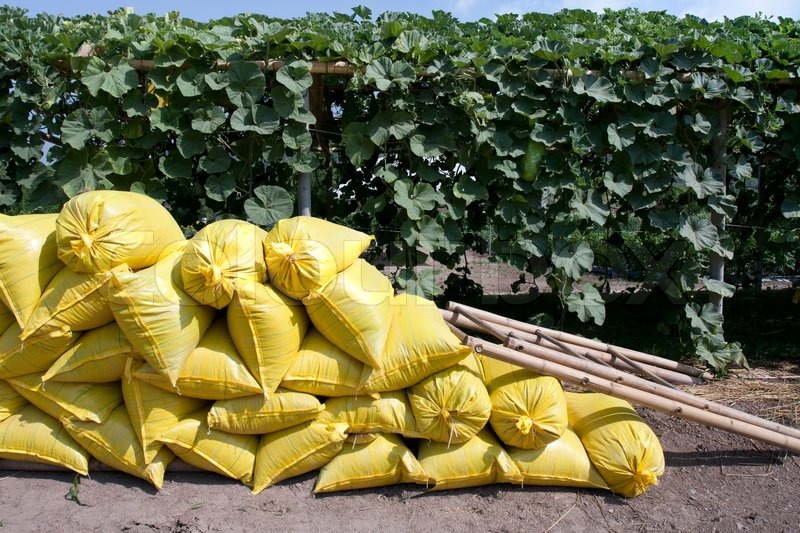 Organic fertilizer bag in garden | Stock image | Colourbox