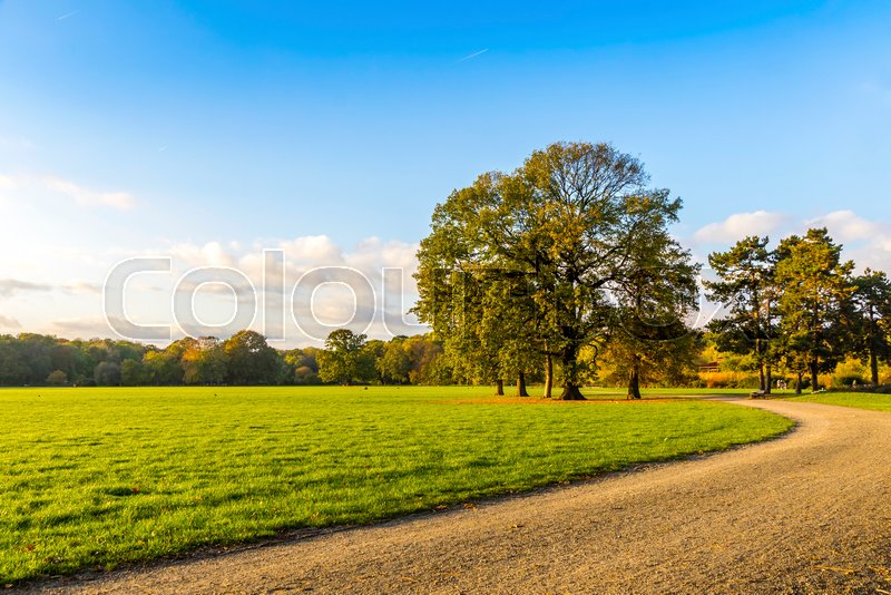 Rosenthal forest park in Leipzig city, ... | Stock image | Colourbox