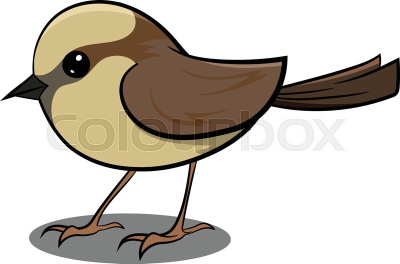 Pretty Brown Birds