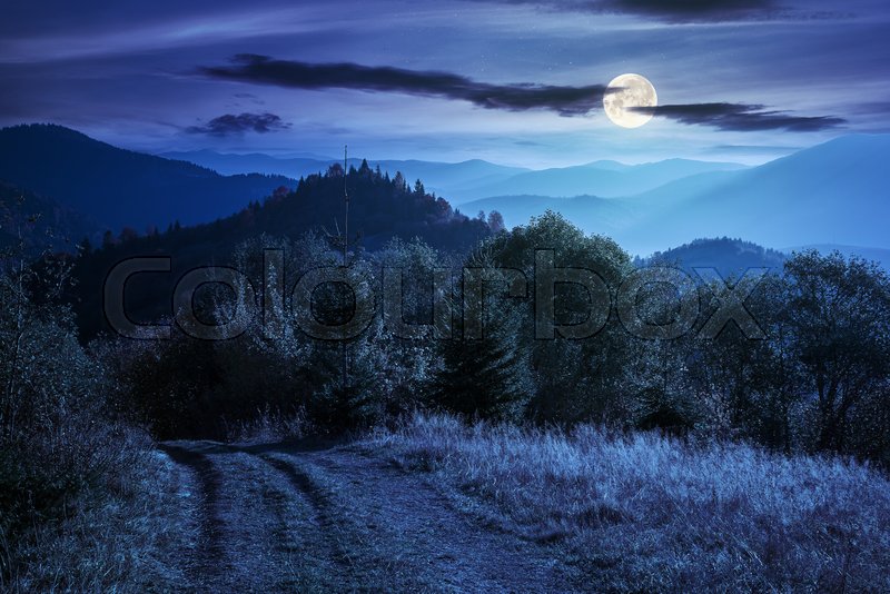 Full Moon Night Forest Scene