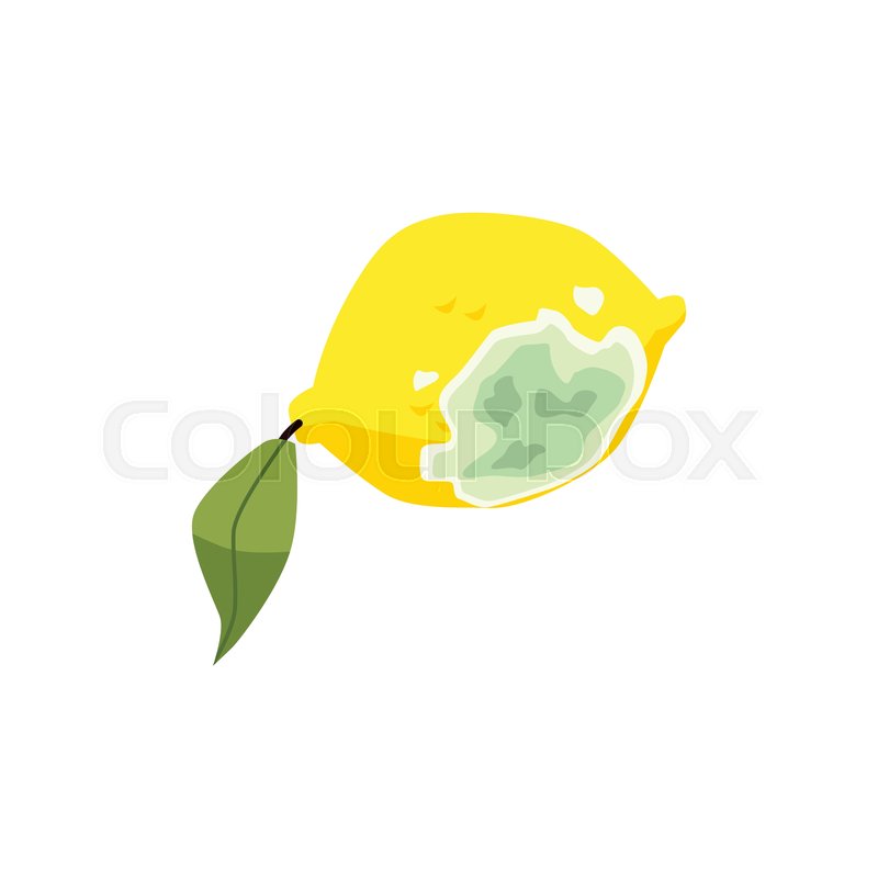 Cartoon Food Mold