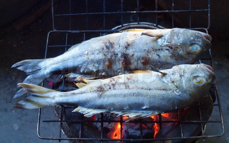 Fishes roasting | Stock image | Colourbox