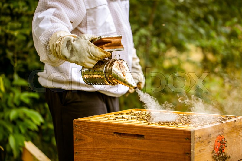 Beekeeping Smoker