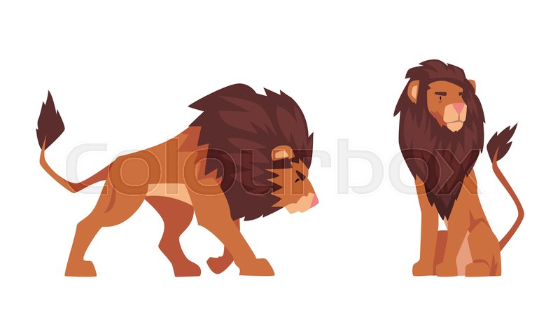 Lion Tail Vector