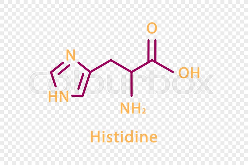 Structure Of Histidine