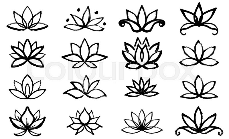 Lotus Flowers Design