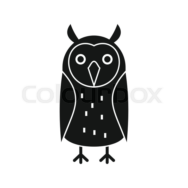 Silly Owl