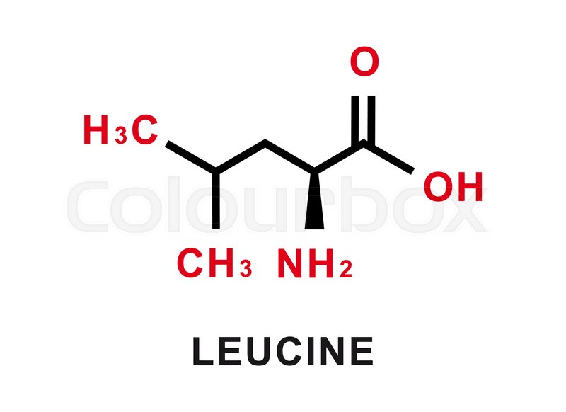 Leucine Amino Acid Structure