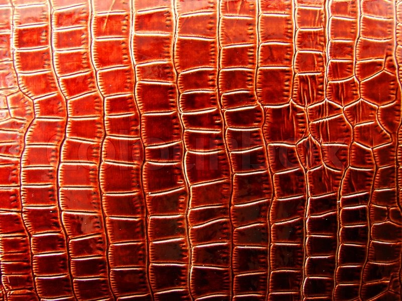 Crocodile texture | Stock image | Colourbox