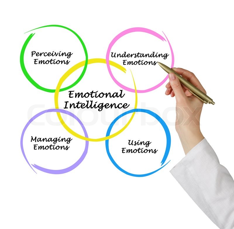 Diagram of emotional intelligence | Stock Photo | Colourbox