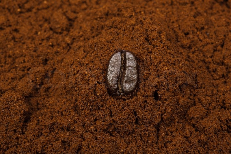 Coffee Bean on ground coffee | Stock image | Colourbox