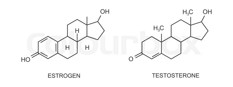 Testosterone Vs Estrogen Structure