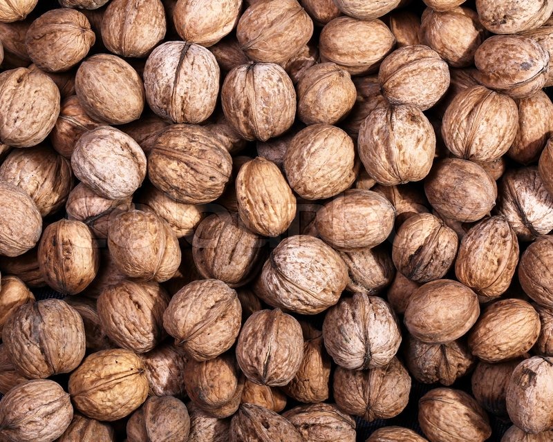 Walnuts | Stock Photo | Colourbox