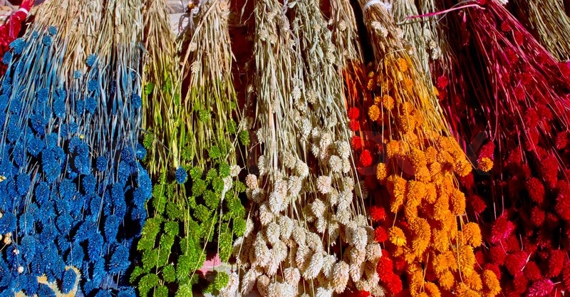 Dry colored flower decoration | Stock image | Colourbox
