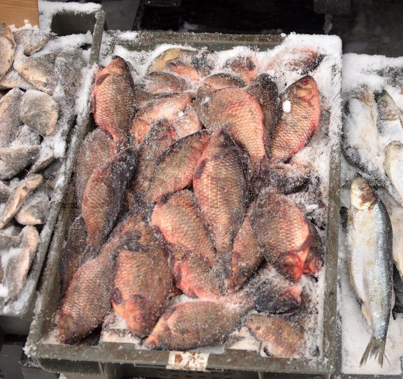 Frozen fish | Stock image | Colourbox