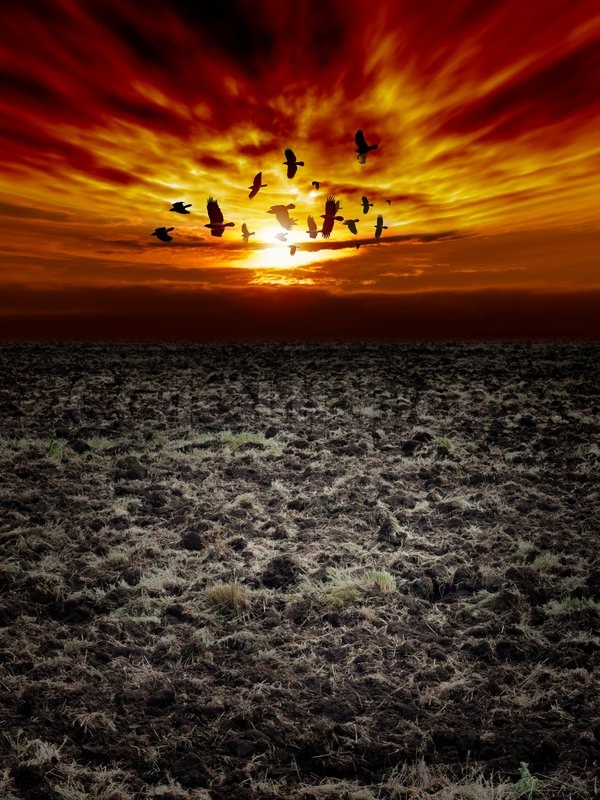 Dramatic landscape | Stock image | Colourbox