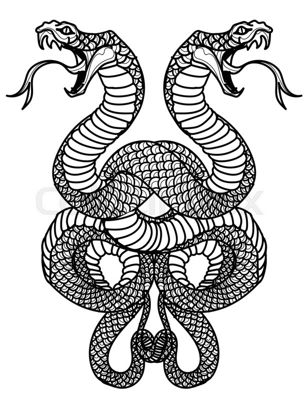 Snake Drawings Tattoos
