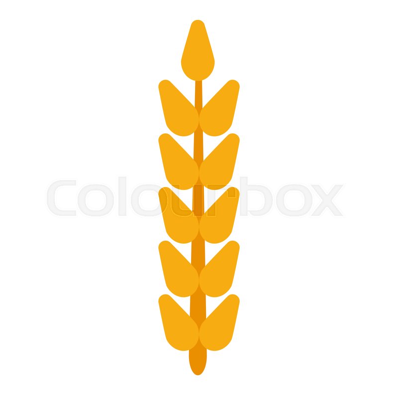 Wheat Straw Vector