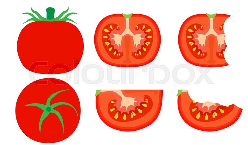 Tomato Plant Icon