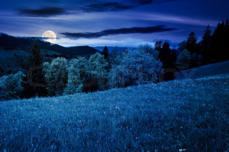 Night Nature Scenery