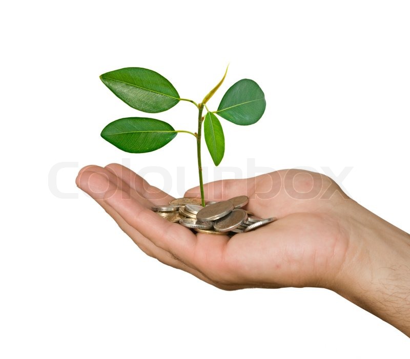 Tree Growing In Hand