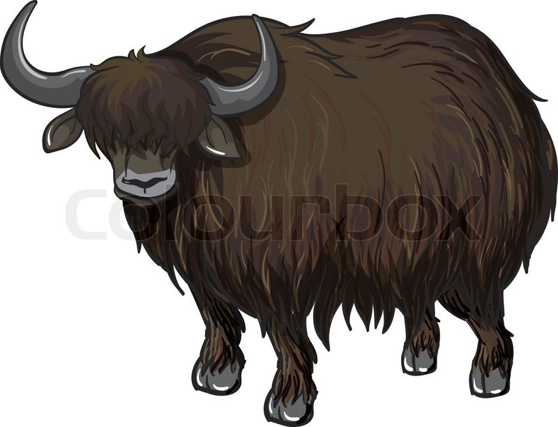 Buffalo | Stock vector | Colourbox