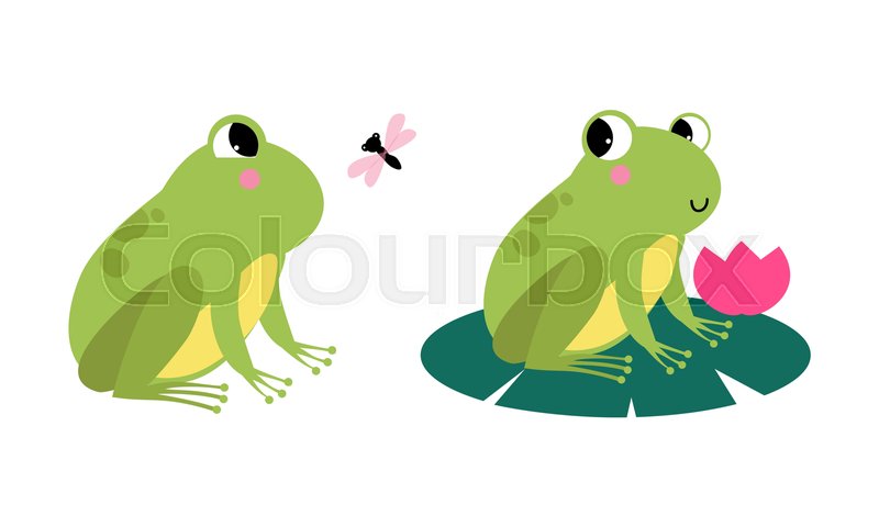 Baby Frog Clip Art