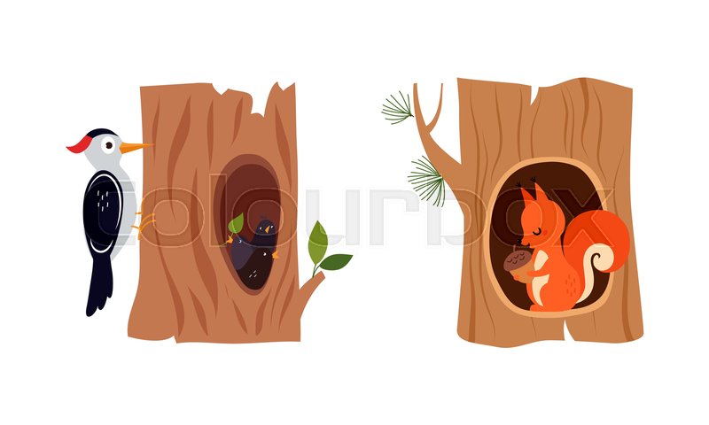 Nest On A Tree Cartoon