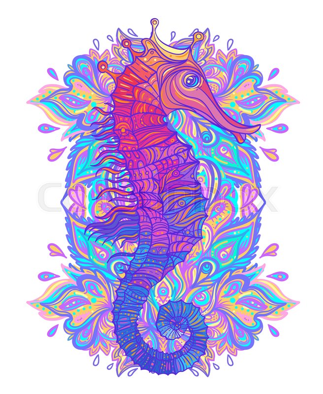 Rainbow Seahorses Real