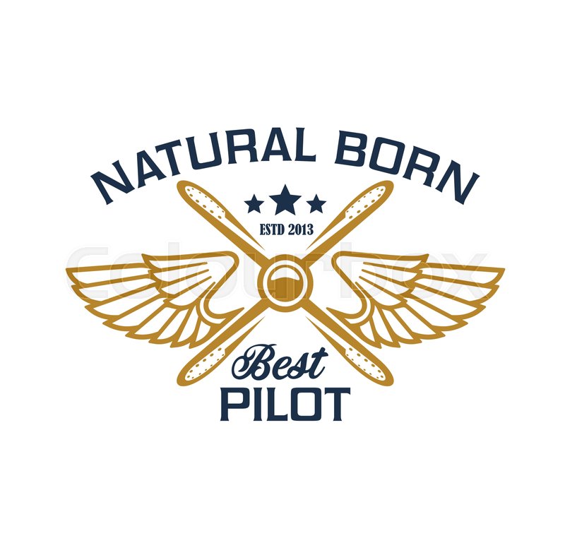 Pilot Wings Icon