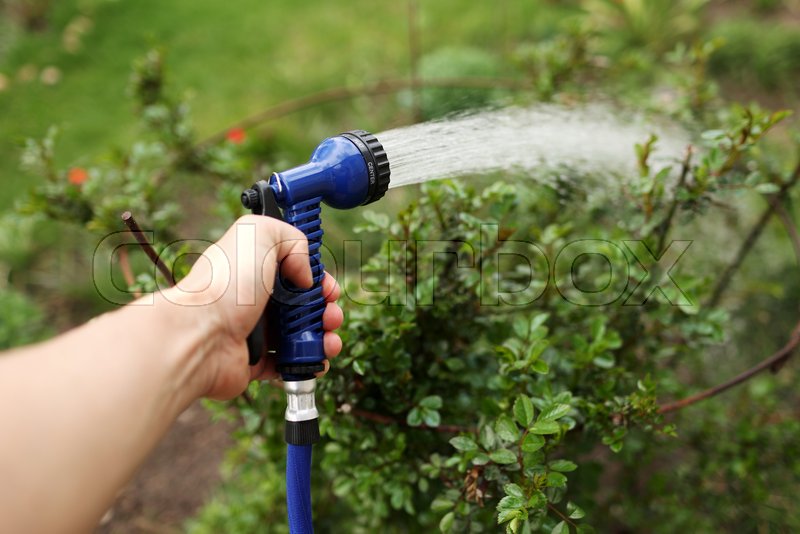 Garden Hand Sprinkler