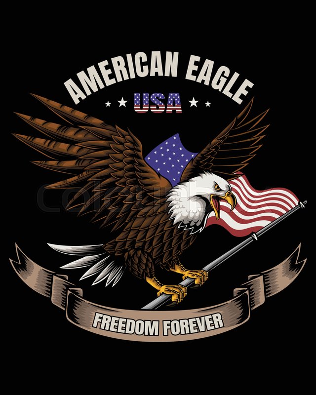 American Eagle Flag Vector