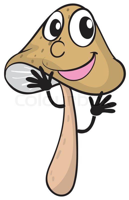 Pilz | Stock-Vektor | Colourbox