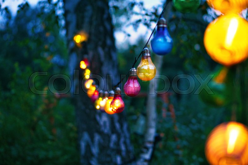 Romantic Tree Lights