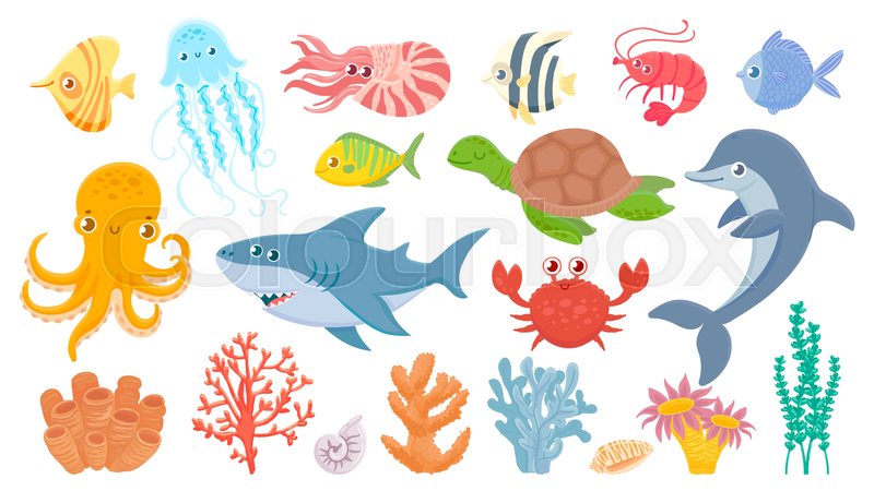 Cartoon Ocean Fish