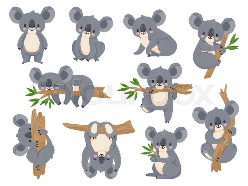 Cute Koalas In Trees