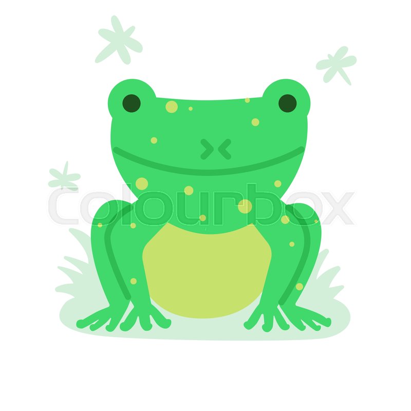 Rainforest Frog Clipart