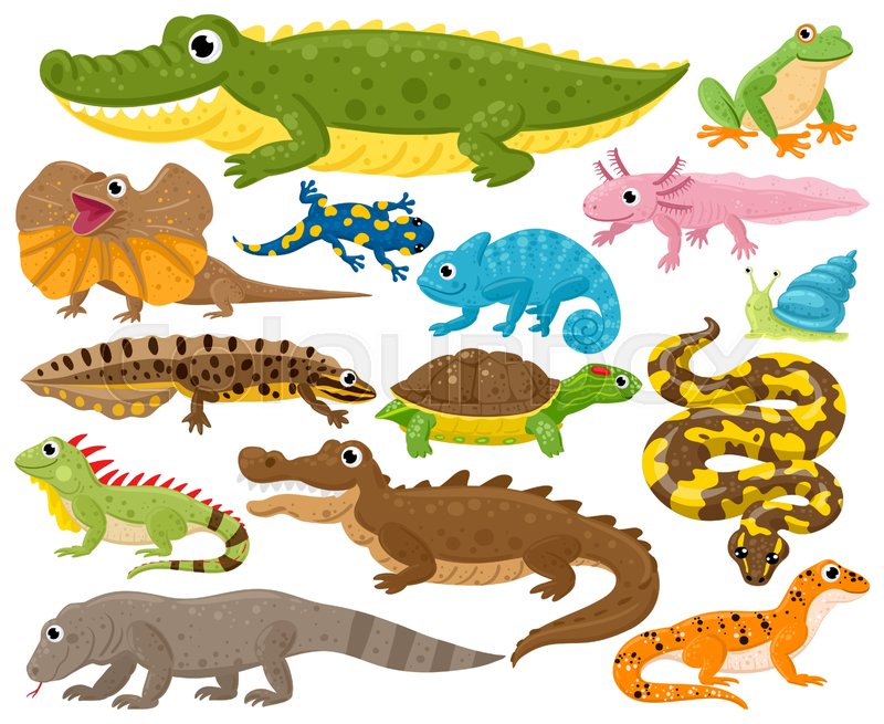 Amphibian Clipart