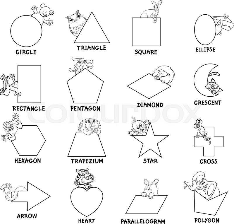 Geometric Shapes In Animals