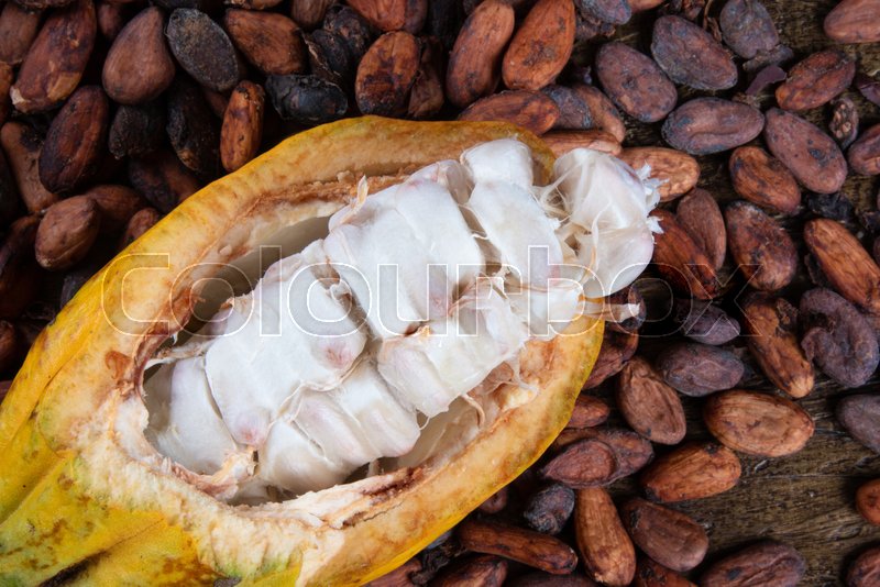 Cacao Beans