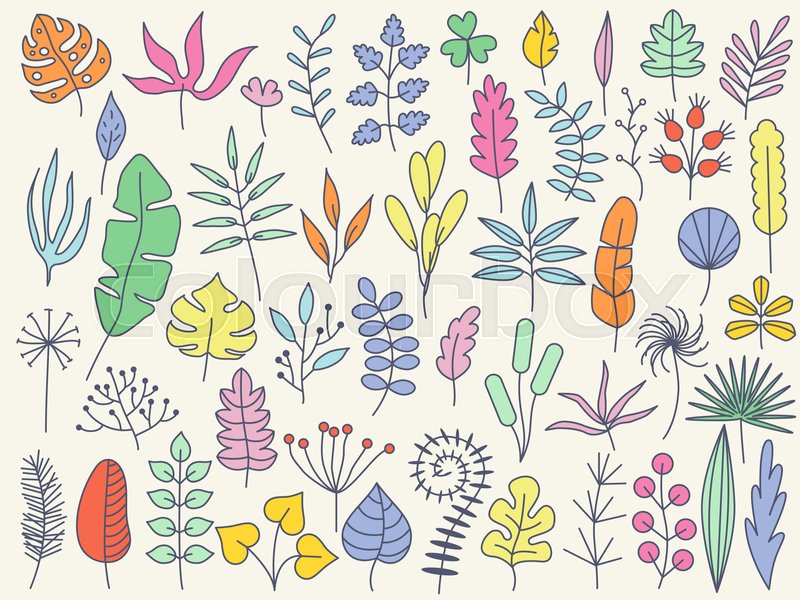 Organic Shapes In Nature
