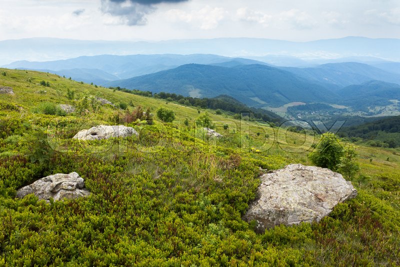 Rocky Grassy Landscape