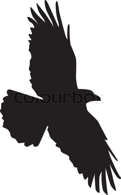 Raben Flug - Fliegender Rabe | Stock vector | Colourbox