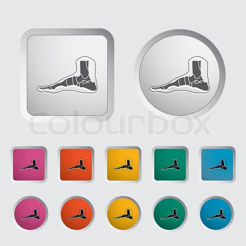 Foot anatomy icon | Stock vector | Colourbox