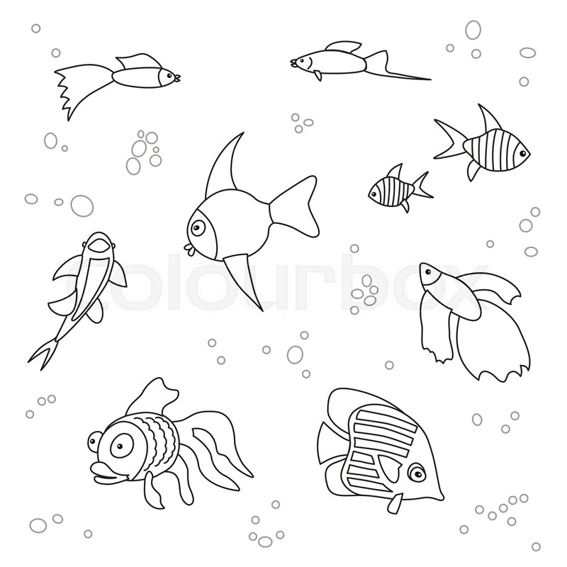 Fish Drawing Outline