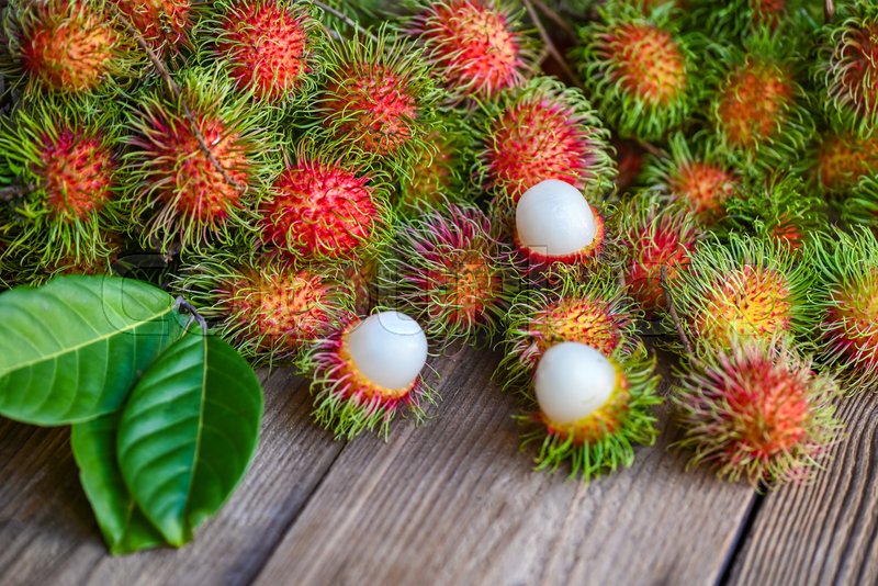 Rambutan Tree Leaf