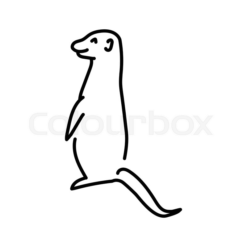 Meerkat Outline