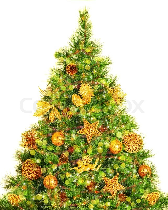 Tannenbaum | Stock Bild | Colourbox